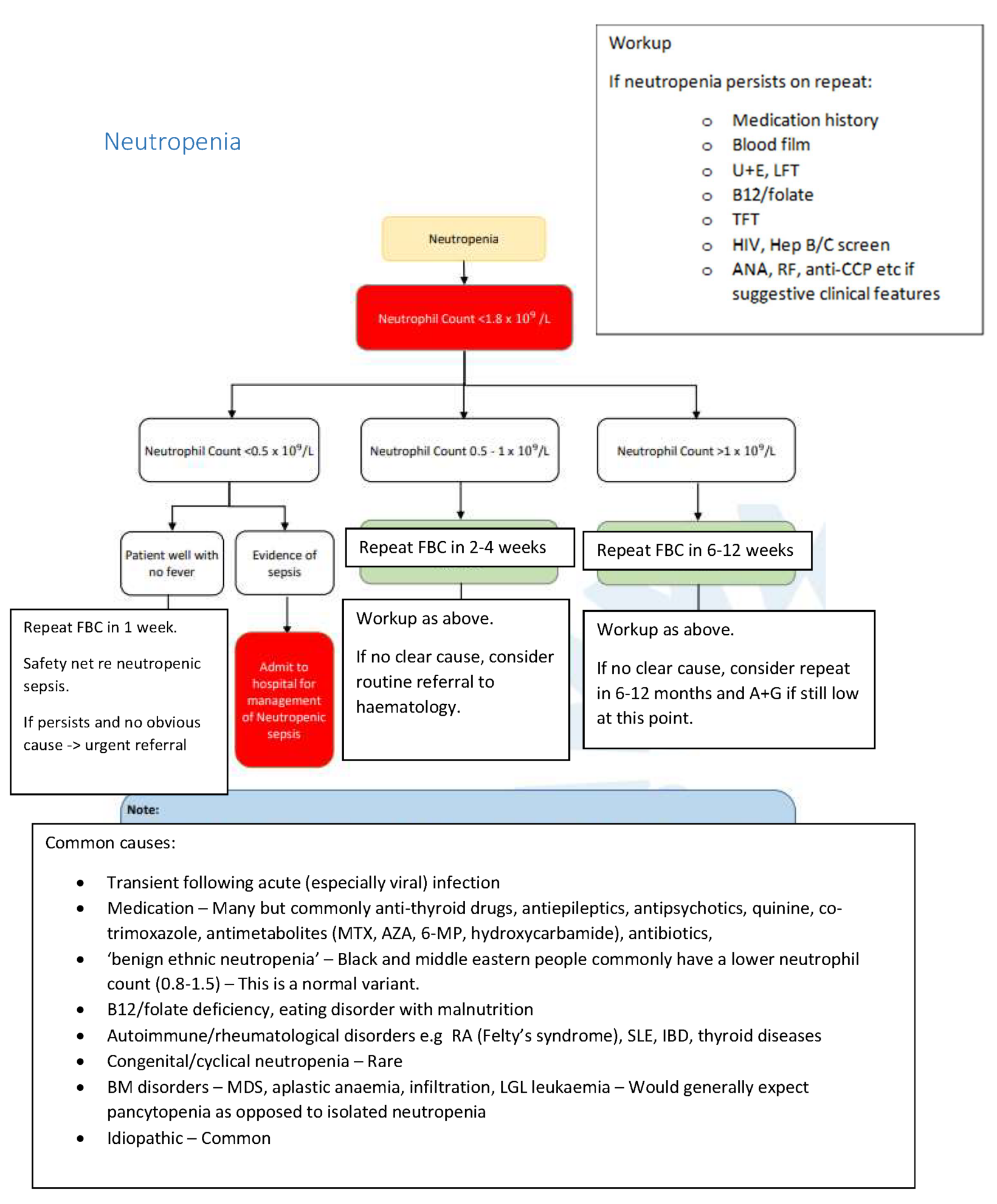 Haematology GP Pathway Guide - Harrogate and District NHS Foundation Trust